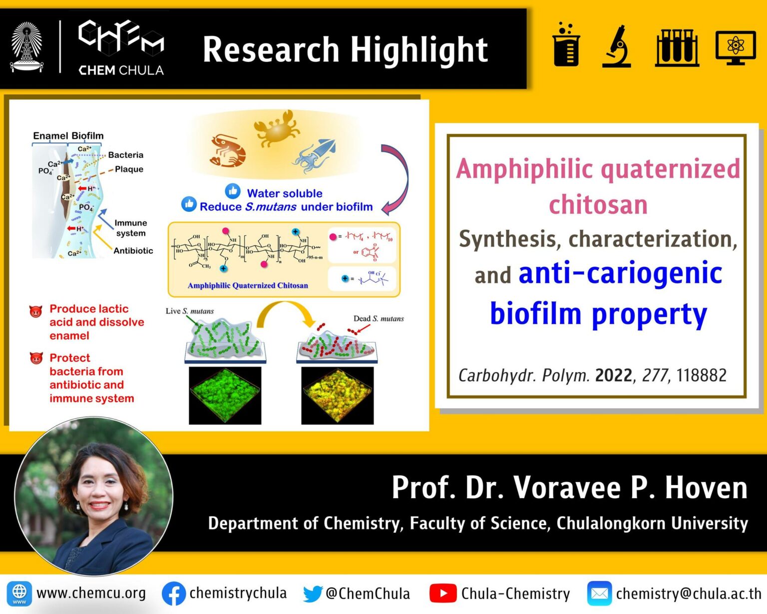 Amphiphilic quaternized chitosan: Synthesis, characterization, and anti ...
