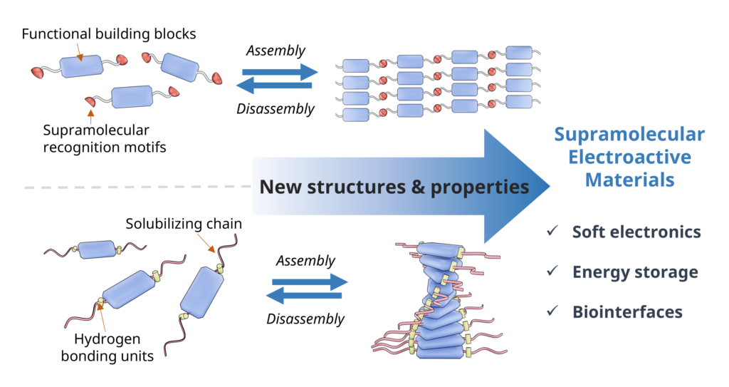 Pongphak Chidchob – ChemChula